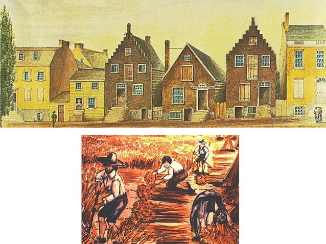 European Exploration and Colonization power point | PPT