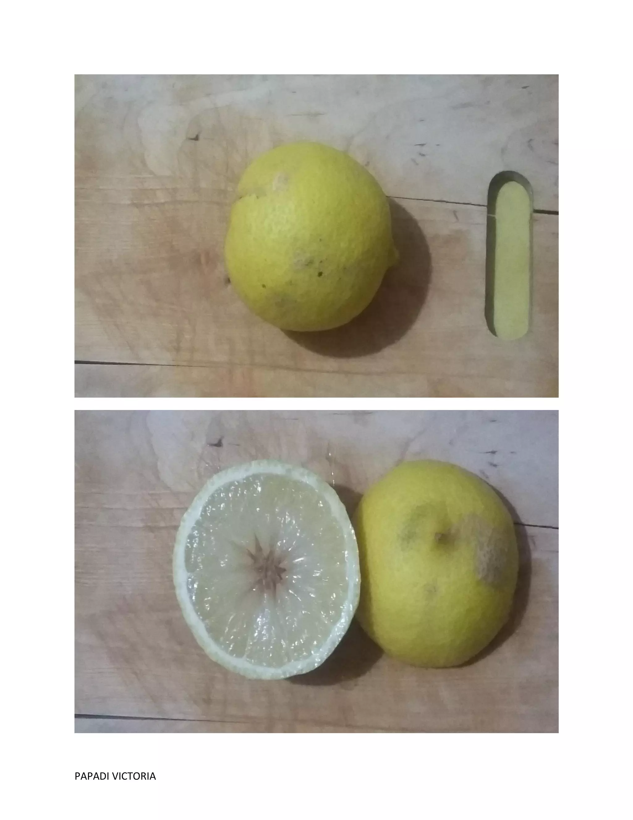 Explorations in image making | PDF | Design | Fine Art