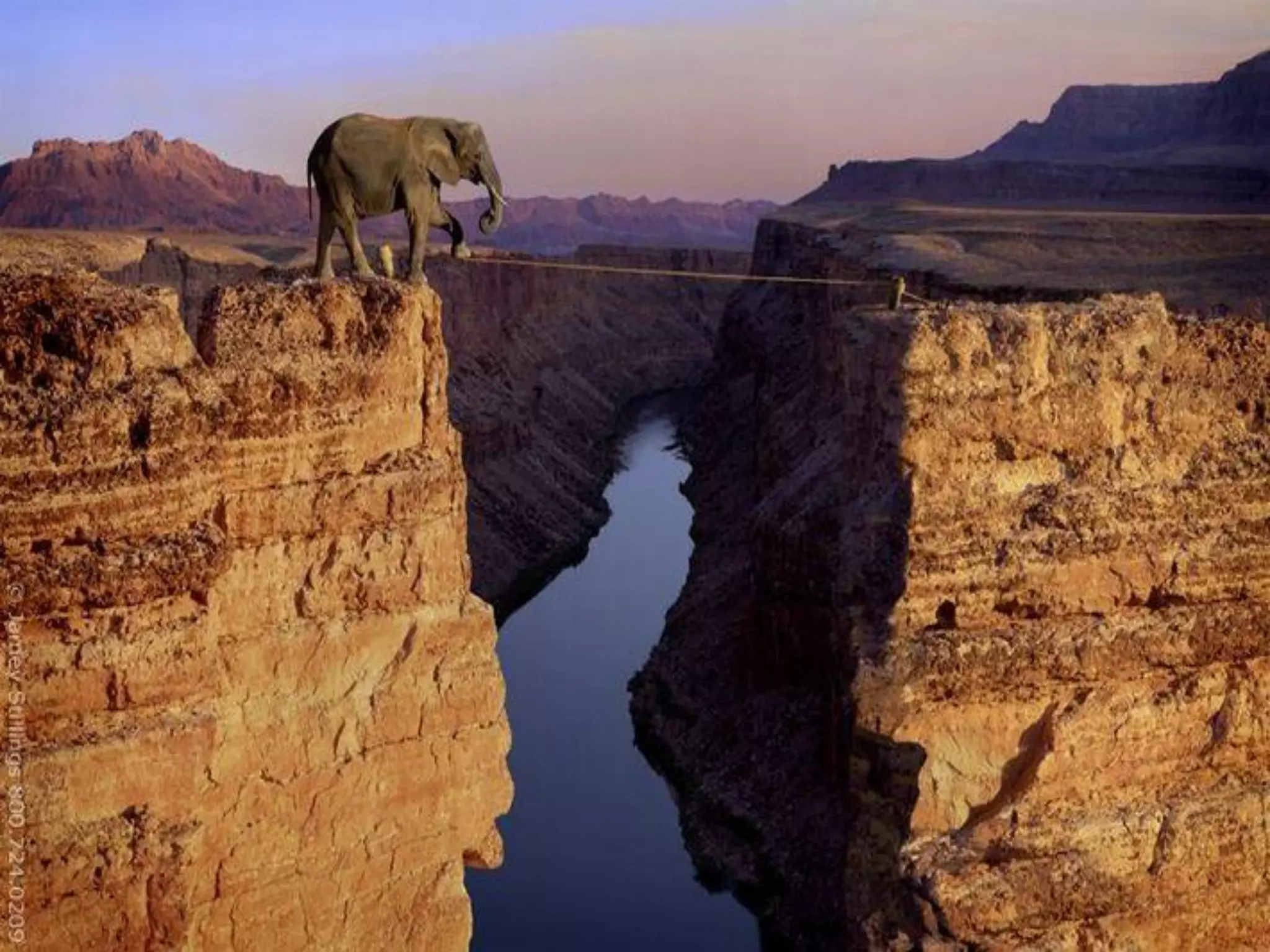 Exploratory laparotomy | PDF