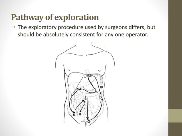 Exploratory laprotomy | PPTX