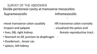 EXPLORATORY LAPROTOMY indications and procedure.pptx