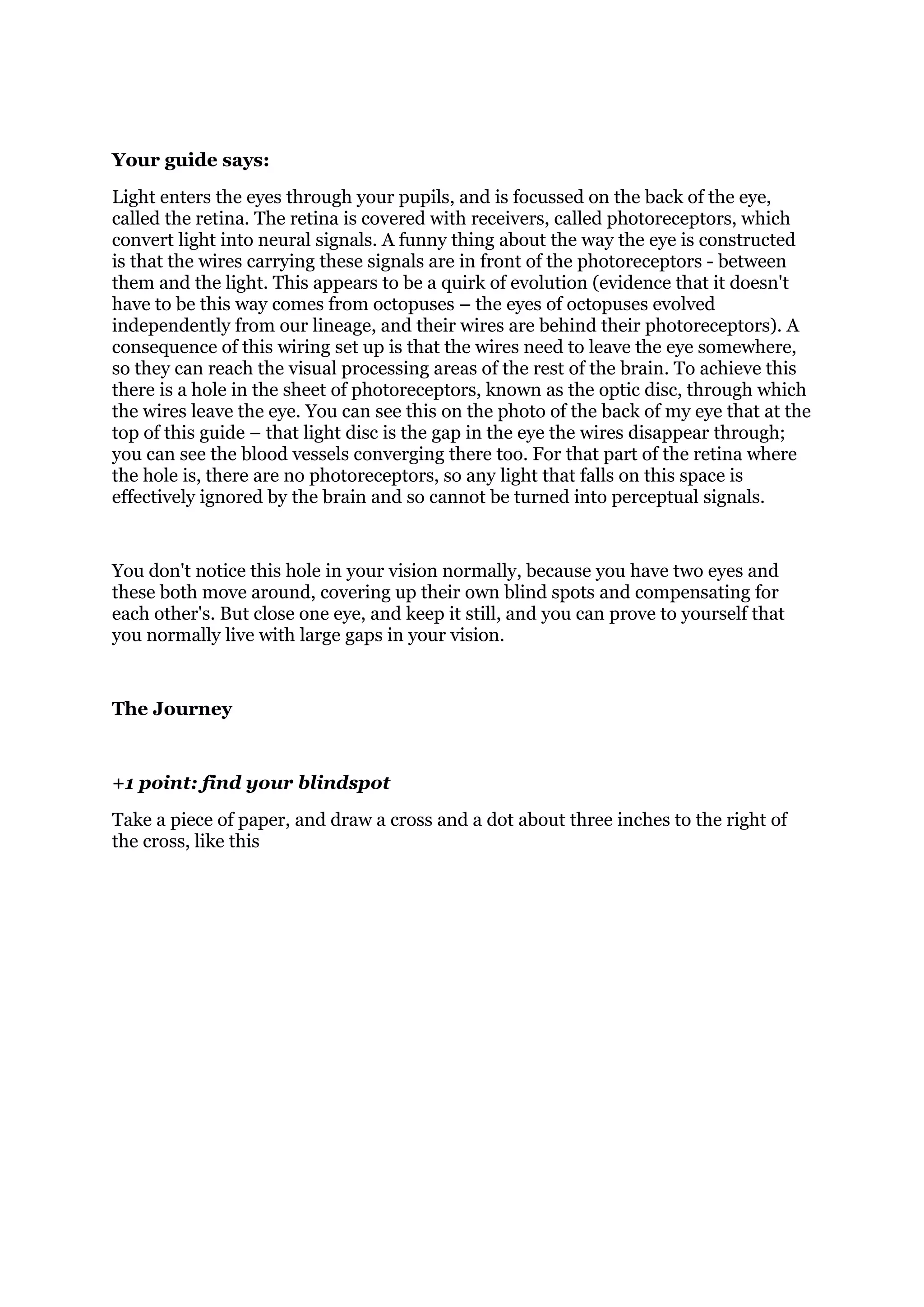 Explore your-blind-spot | PDF | Eye and Vision Conditions | Diseases and Conditions