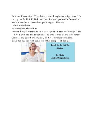Explore Endocrine, Circulatory, and Respiratory Systems LabUsing t.docx