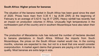 #Explore Opportunities for Export of Banana# By SN Panigrahi | PPTX
