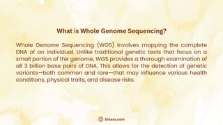 Explore Our Whole Genome Sequencing Service Today.pdf