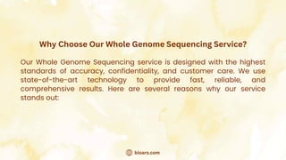 Explore Our Whole Genome Sequencing Service Today.pdf