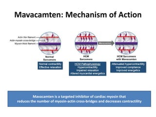 Explorer HCM biplave.pptx