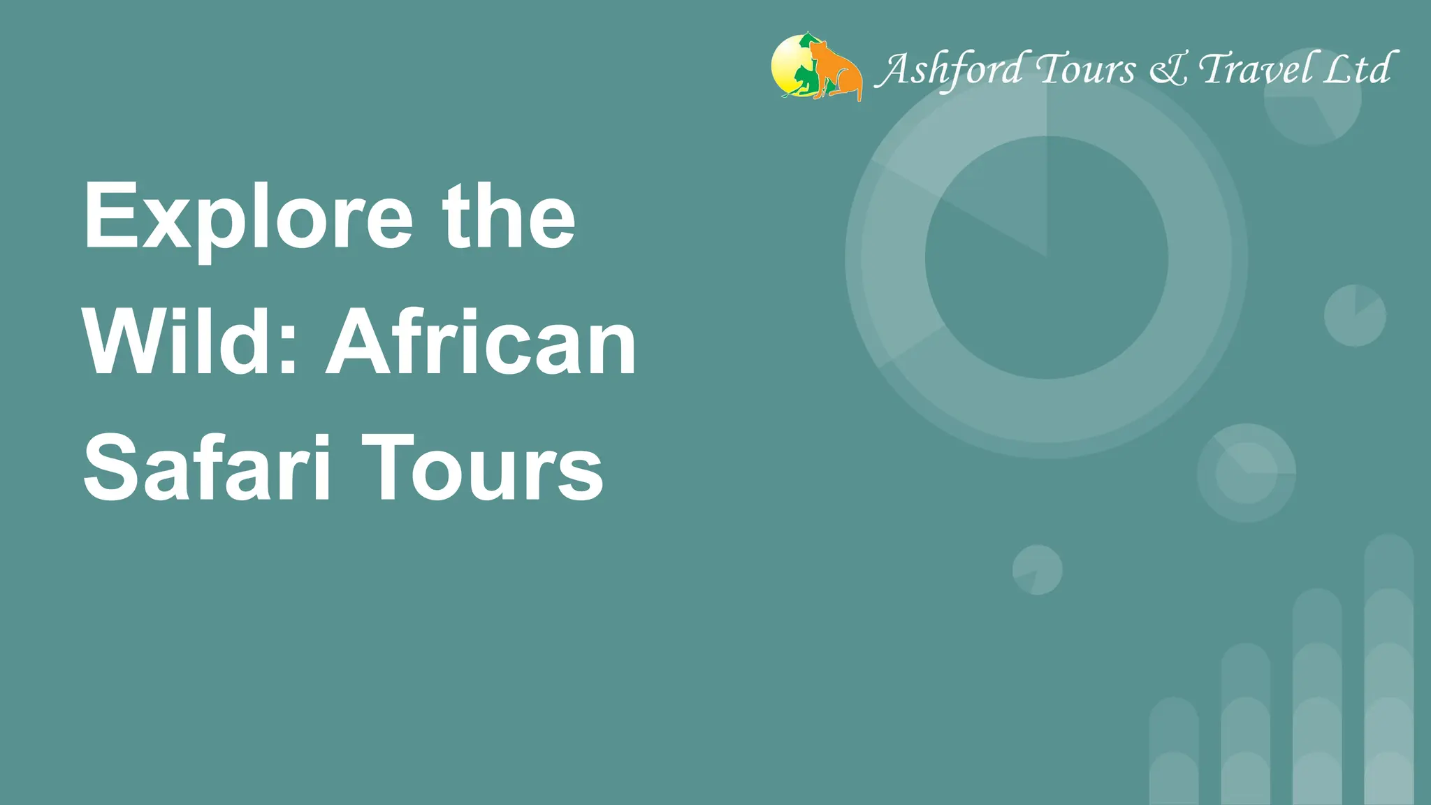 Explore the Wild African Safari Tours.pdf