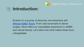 Explore the Wild African Safari Tours.pdf