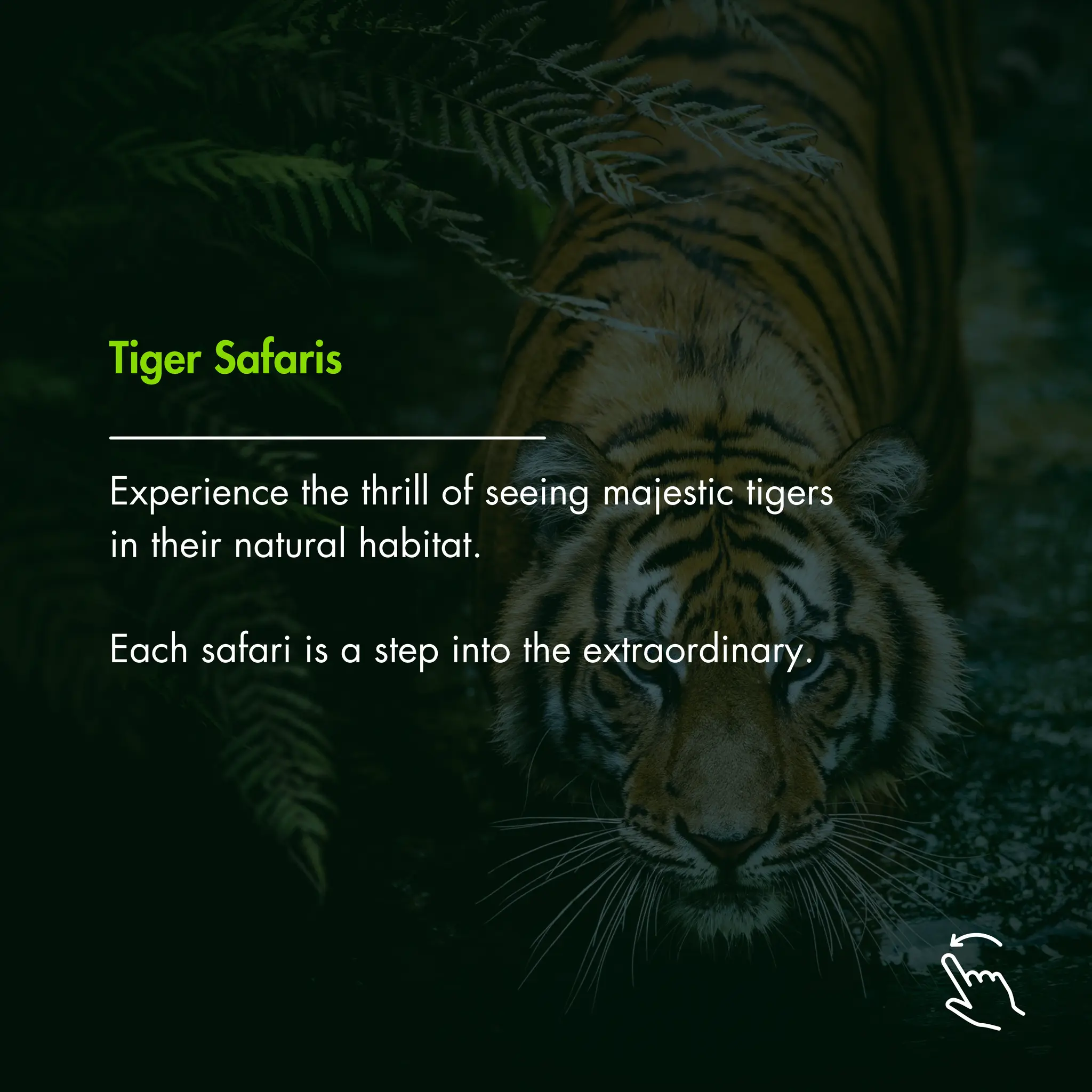 Explore the Wild with GreenLeaf Wildlife!.pdf