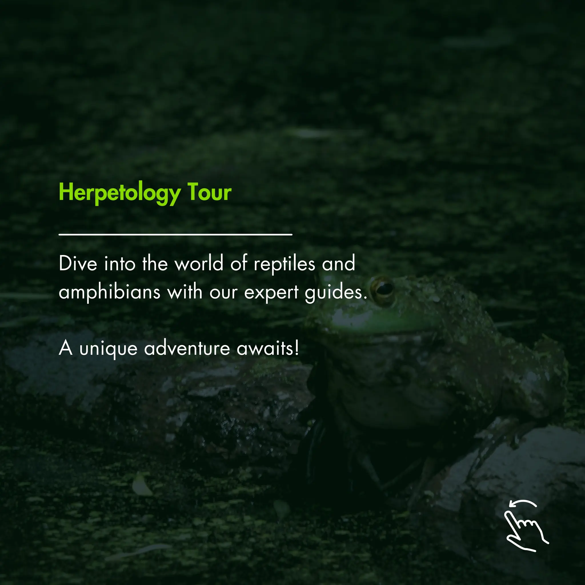 Explore the Wild with GreenLeaf Wildlife!.pdf