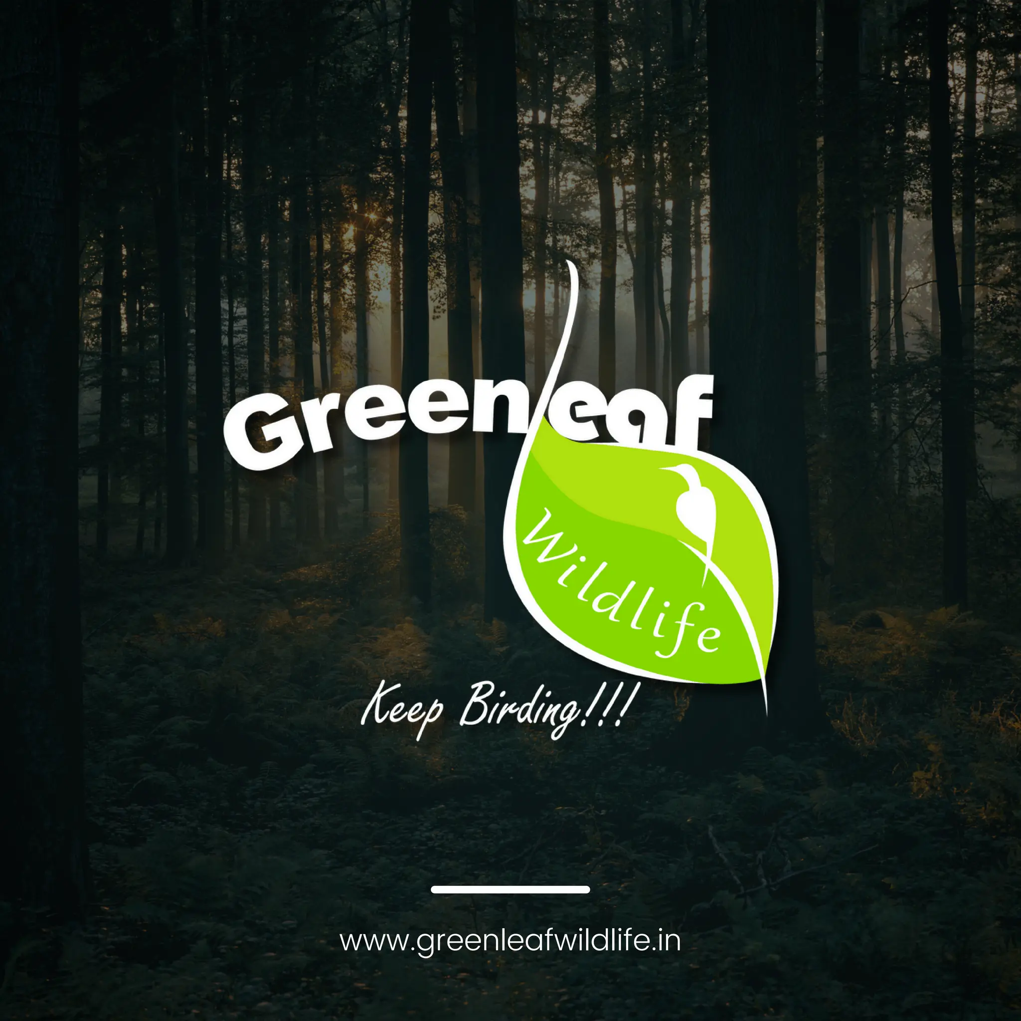 Explore the Wild with GreenLeaf Wildlife!.pdf