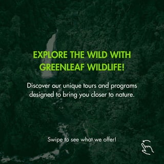 Explore the Wild with GreenLeaf Wildlife!.pdf