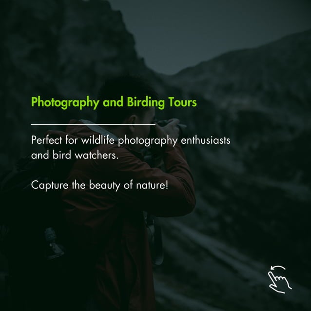 Explore the Wild with GreenLeaf Wildlife!.pdf
