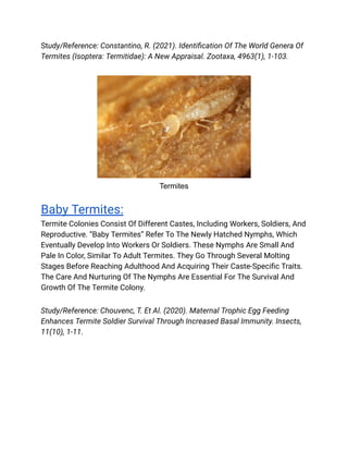 Explore the World of Termites.pdf