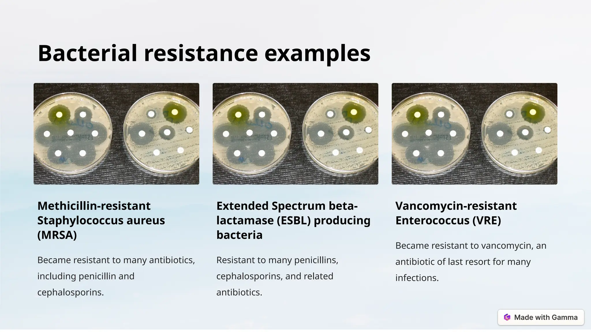 Exploring-Antibiotics-and-Microbes(1).pptx