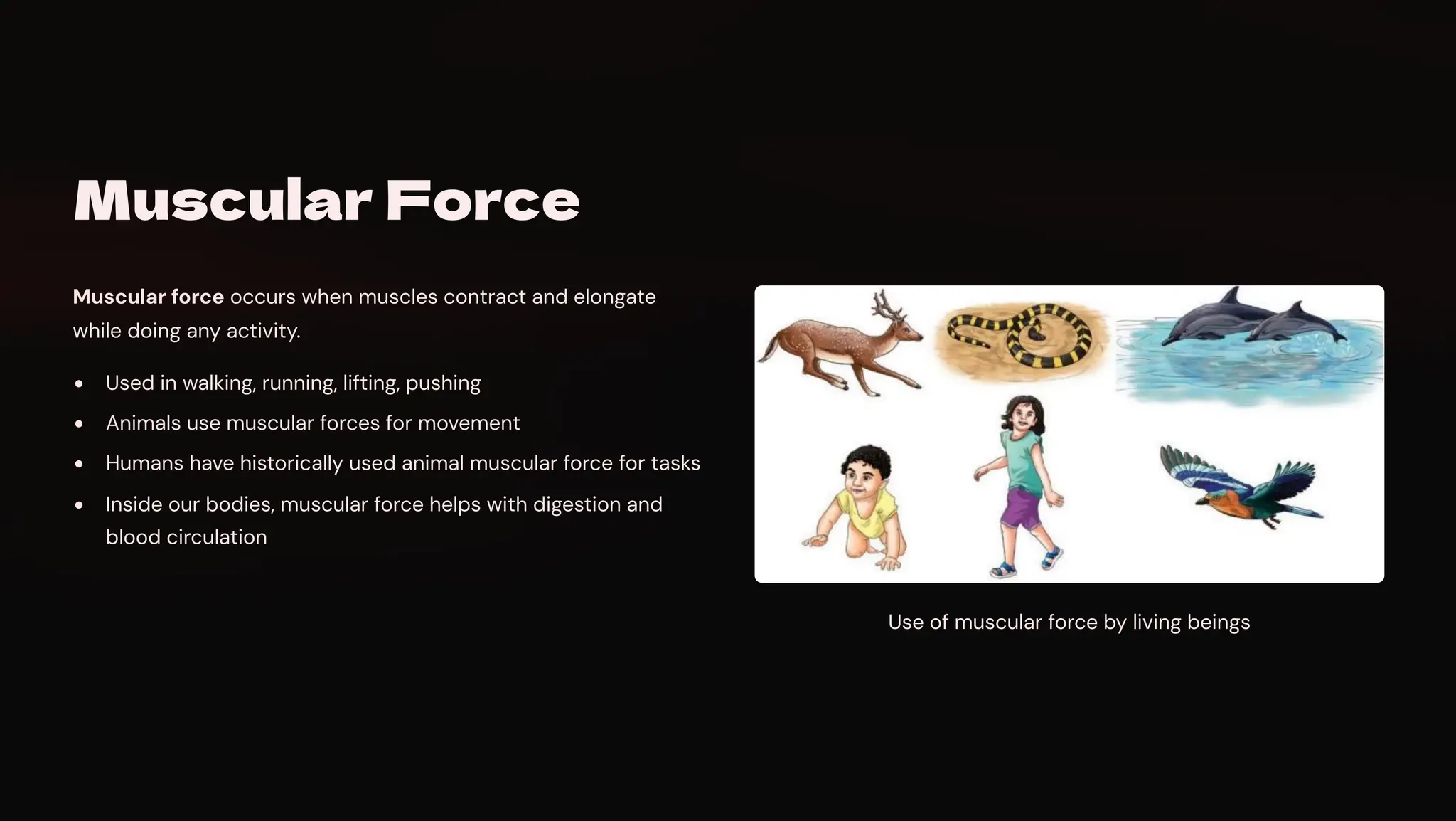 Exploring-Forces 5.pdf/8th science curiosity/by sandeep swamy notes/ppt ...