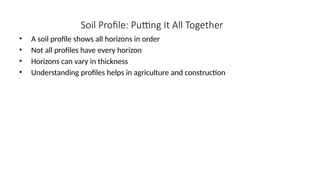 Exploring-Soil-Horizons--Earth-s-Underground-Layers.pptx