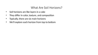 Exploring-Soil-Horizons--Earth-s-Underground-Layers.pptx