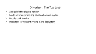 Exploring-Soil-Horizons--Earth-s-Underground-Layers.pptx
