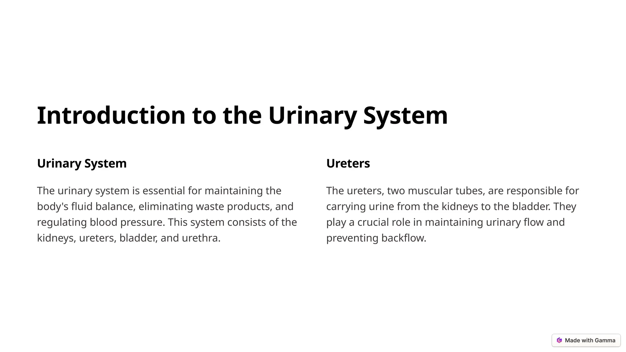 Exploring-the-Anatomy-of-the-Ureter.pptx