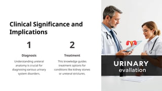 Exploring-the-Anatomy-of-the-Ureter.pptx
