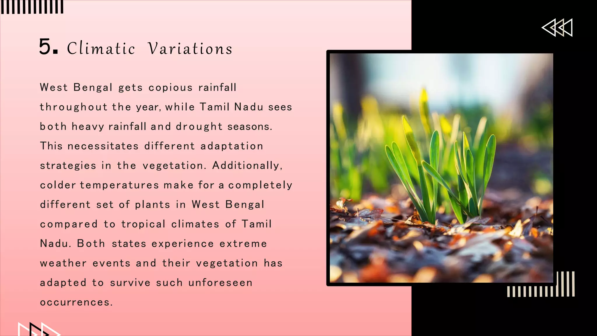 exploring-the-diverse-vegetation-a-comparative-analysis-between-west ...