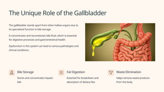 Exploring-the-Gallbladder-and-Extrahepatic-Biliary-Tract-Anatomy-and ...