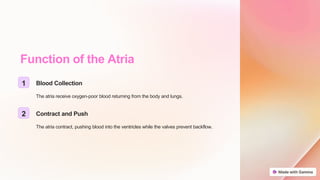 Exploring-the-Intricacies-of-the-Human-Brain.pptx