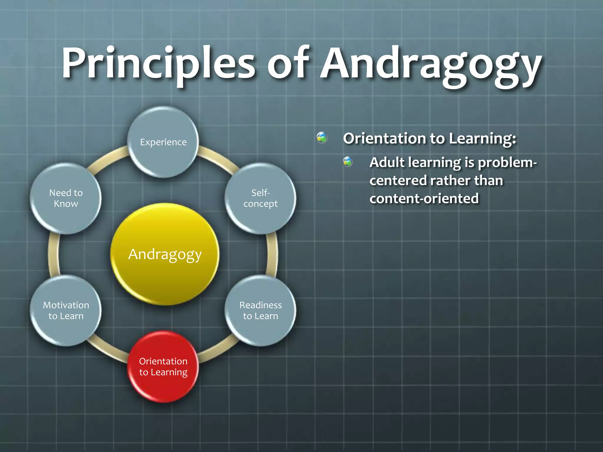 Exploring Andragogy | PPTX