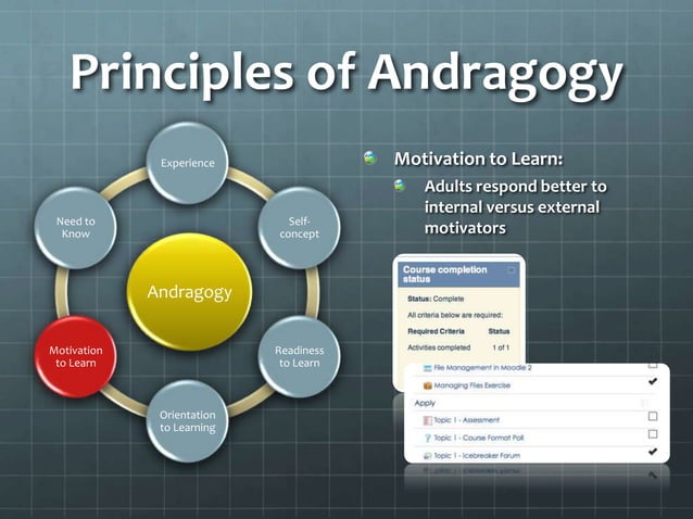 Exploring Andragogy | PPT