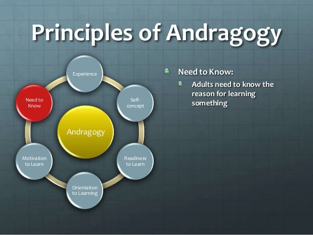 Exploring Andragogy