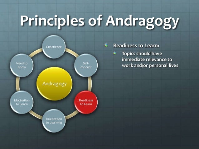 Exploring Andragogy