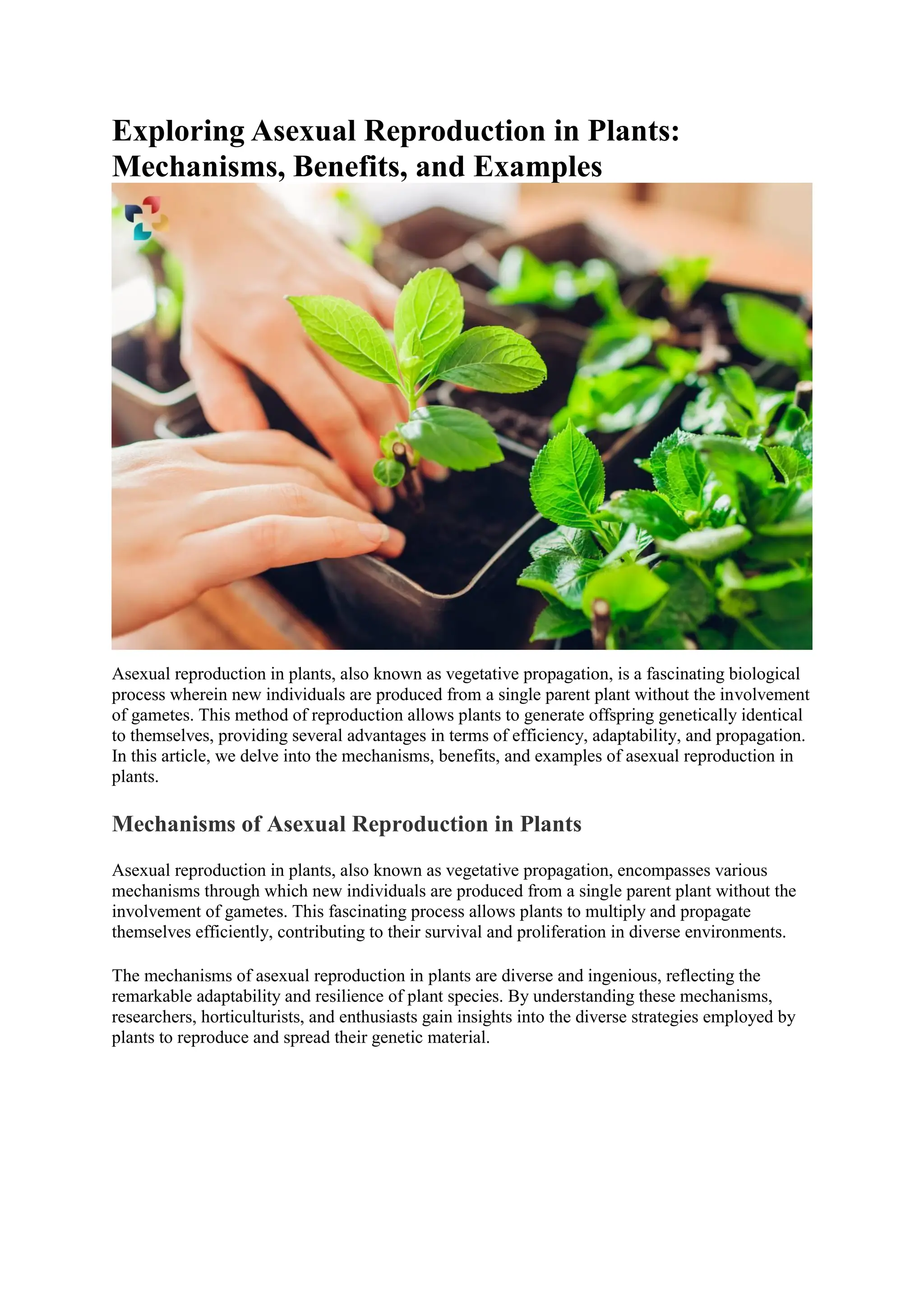 Exploring Asexual Reproduction in Plants: Mechanisms, Benefits, and ...