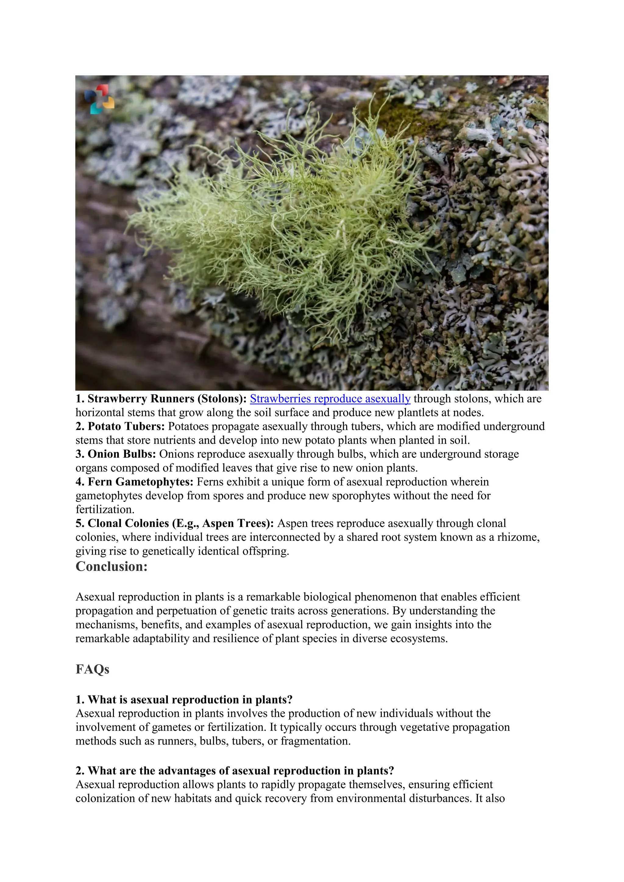 Exploring Asexual Reproduction in Plants: Mechanisms, Benefits, and ...