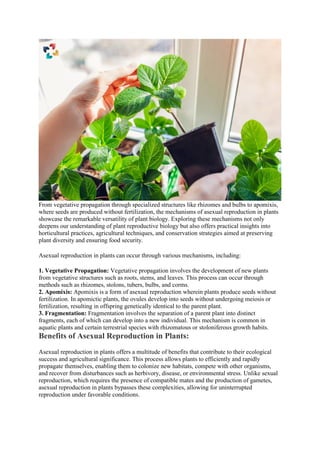 Exploring Asexual Reproduction in Plants: Mechanisms, Benefits, and ...