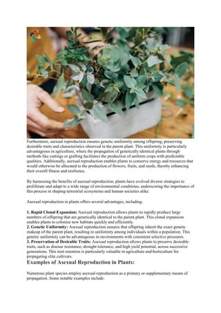 Exploring Asexual Reproduction in Plants: Mechanisms, Benefits, and ...