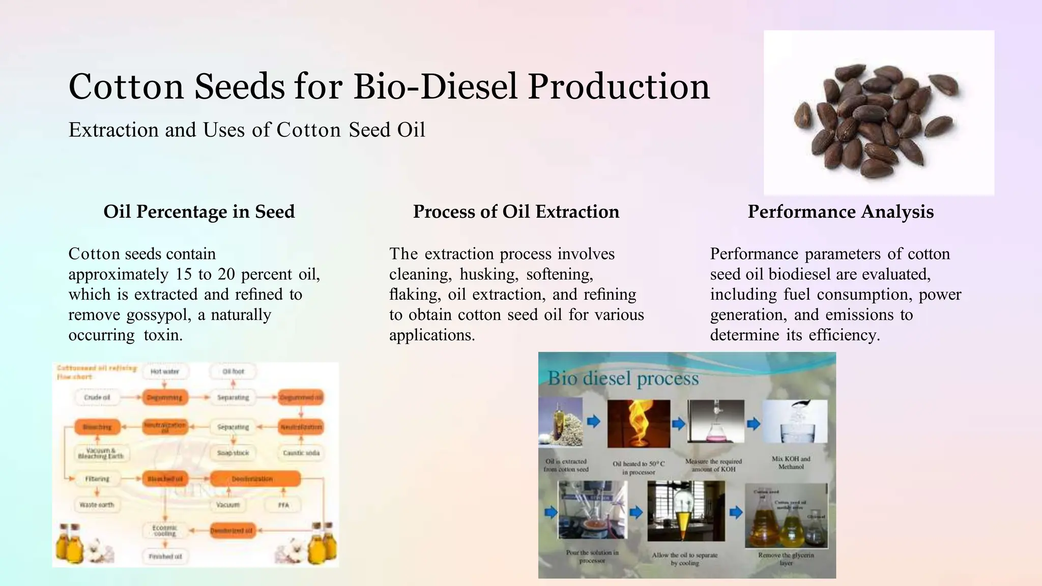 Exploring Bio-Diesel Production from Non-Edible Seed Oils.pptx