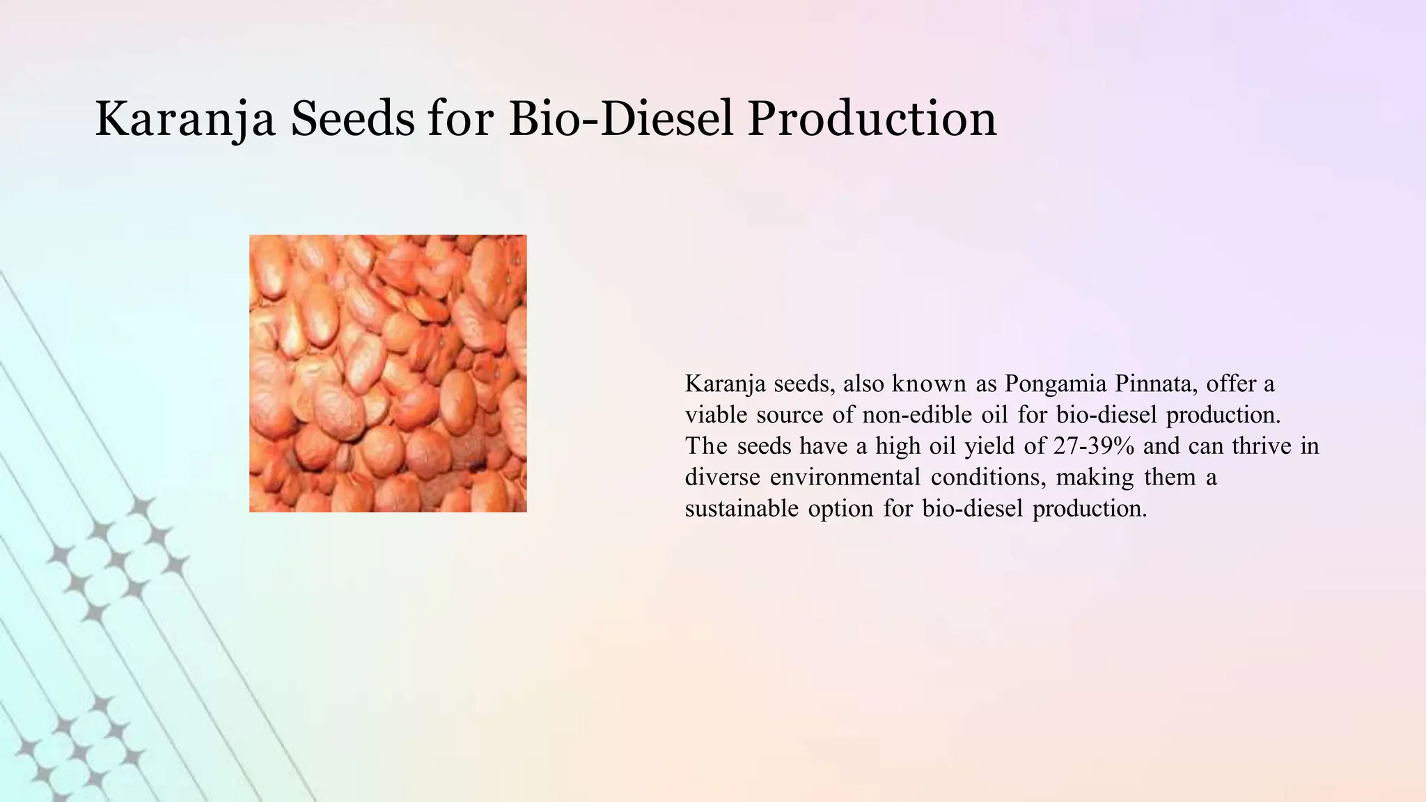 Exploring Bio-Diesel Production from Non-Edible Seed Oils.pptx