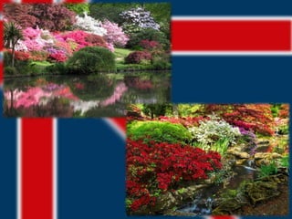 Exploring british countryside | PPT