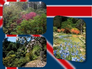 Exploring british countryside | PPT