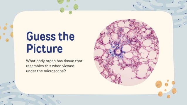 Exploring Cells in Detail Education Presentation in 0 Hand Drawn ...