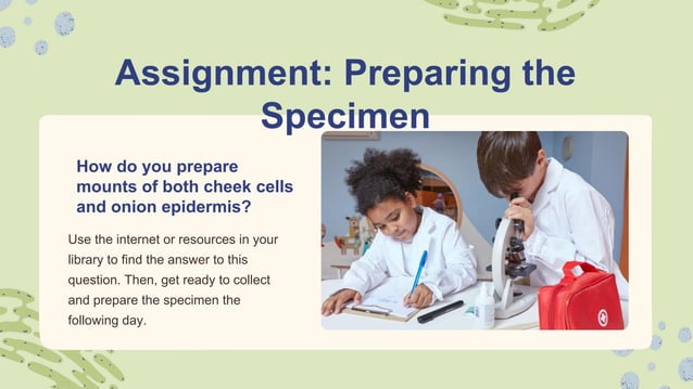 Exploring Cells in Detail Powerpoint Presentation | PPT
