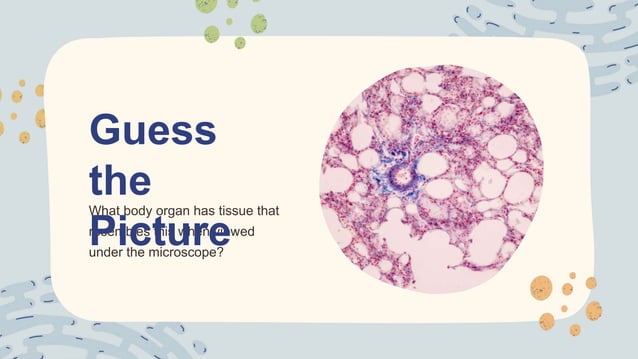 Exploring Cells in Detail Powerpoint Presentation | PPT