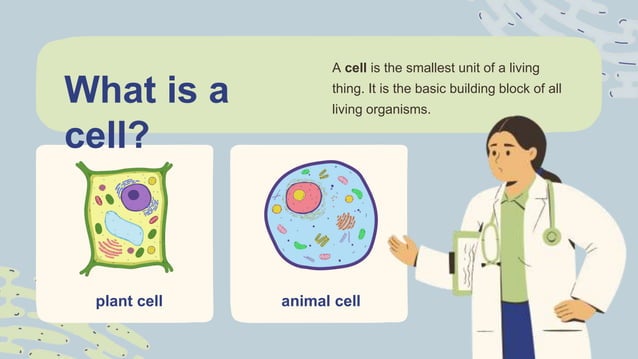 Exploring Cells in Detail Powerpoint Presentation | PPT