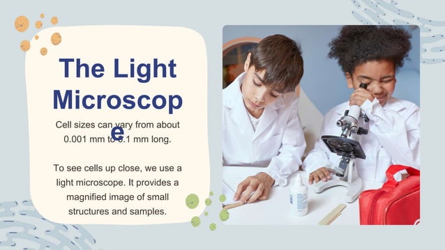 Exploring Cells in Detail Powerpoint Presentation | PPT