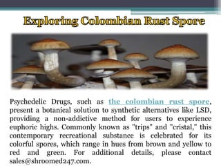 Exploring Best Colombian Rust Spore Online | PPT