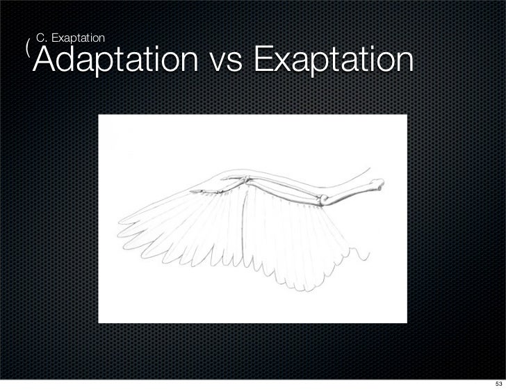 Exploring Creativity