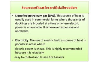 Exploring the Potentials of Duck-based Enterprises Including Health ...