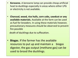 Exploring the Potentials of Duck-based Enterprises Including Health ...
